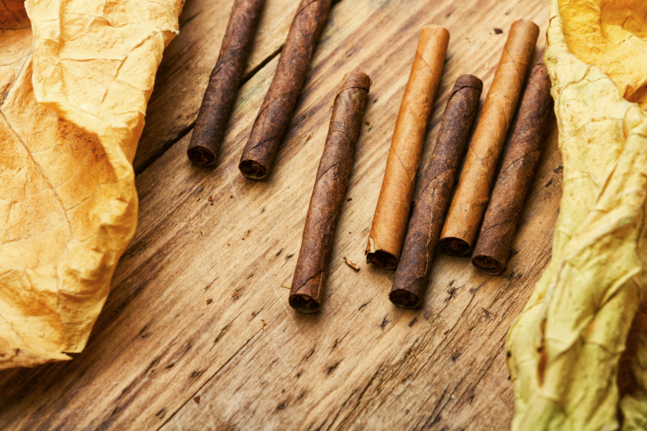 Why Top Tobacco Companies Should Use Safe Pesticides and Herbicides - IJP